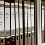 Quais os nomes dos filhos do shrek e fiona: descubra como se chamam os ...