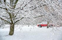 O que significa mil-contra ou mil ao contrário no cnpj: veja o que ...