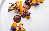 Sq dasa login: veja como acessar exames e resultados online - BZ Capital